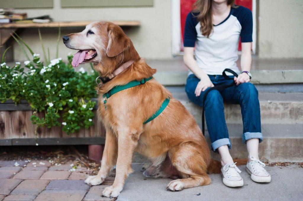 Road to Freedom Rescue – Rescue Your Rescue