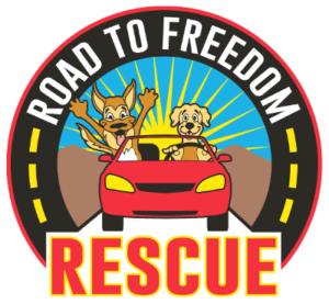 About – Road to Freedom Rescue